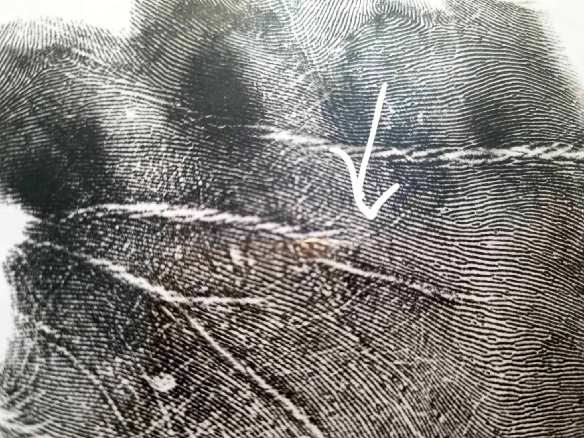 La línea de la mente - Fabienne Barros